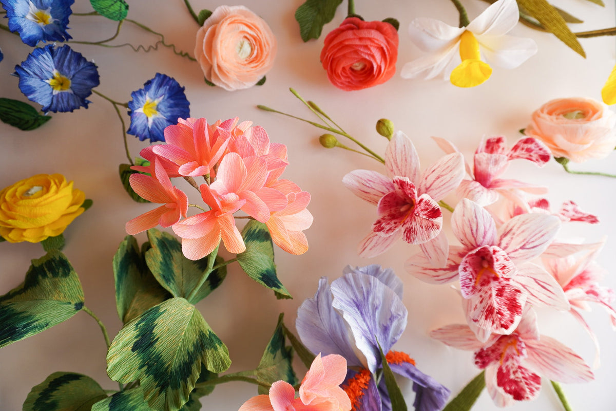 Selected Items – Summer Space Studio