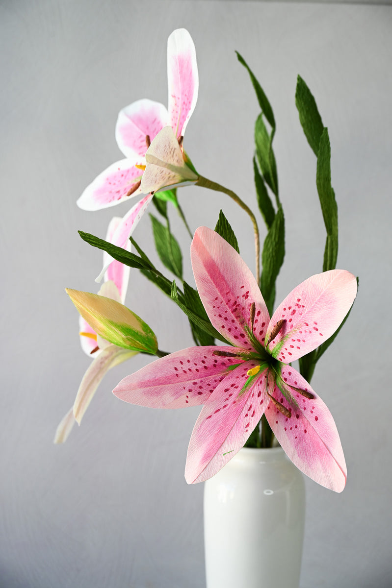 Stargazer Lily Pink – Summer Space Studio