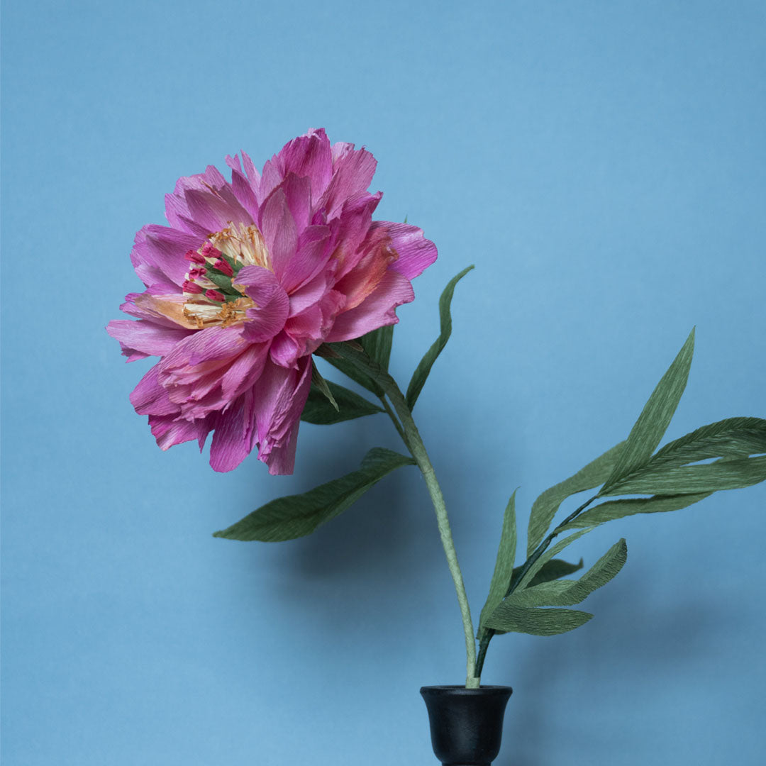 All workshop – Summer Space Studio